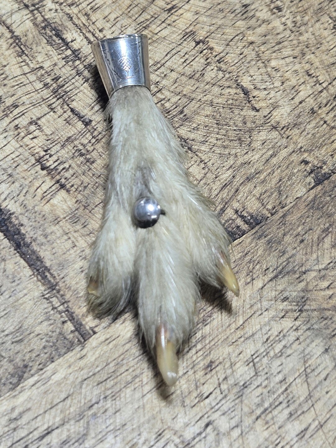 Antique 1930's Hallmarked Silver Scottish Silver Taxidermy Grouse Claw ...