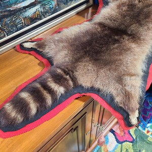 1950's Vintage Full Body Racoon Pelt Rug Authentic Original Oddities ...