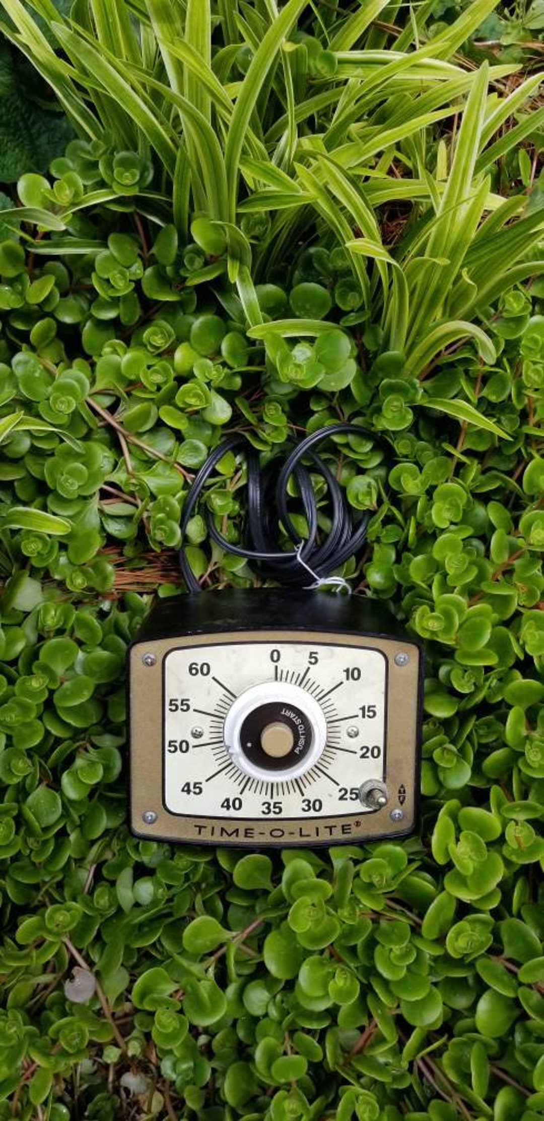 Antique Photographers Time-o-lite Photographic Timer Switch Darkroom ...