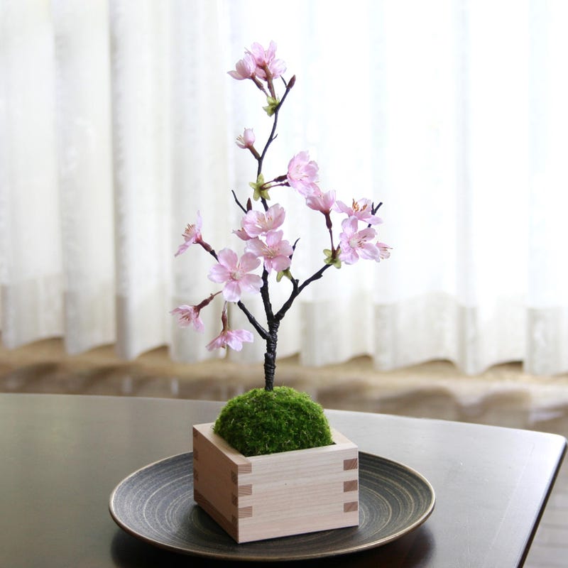 Kokedama Arrangement - Etsy