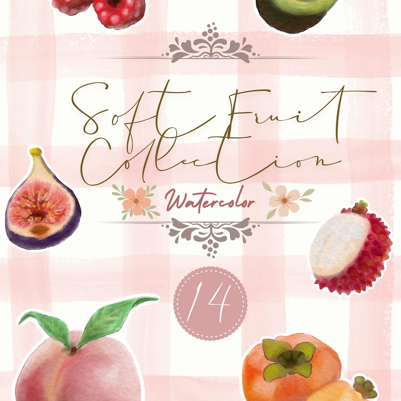 Fruit Sticker Collection - Etsy