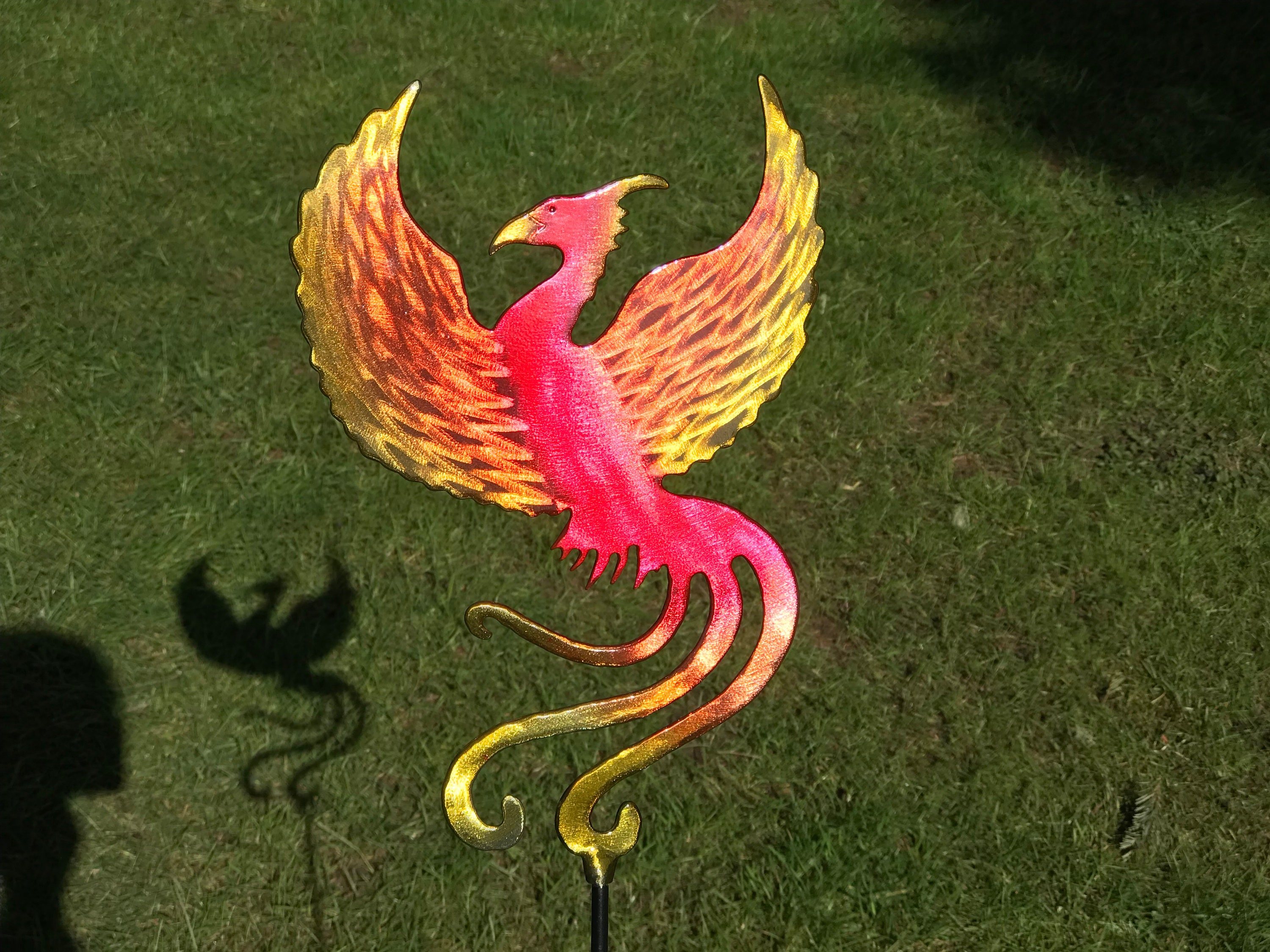 Real Phoenix Bird Pictures