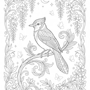 Blue Jay and Flowers: An excerpt from the adult coloring book Woodland ...