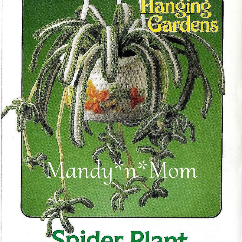 Hanging Garden Spider Plant Crochet - Etsy