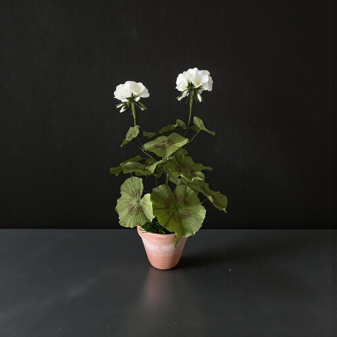 Handmade Paper Geranium Plant: White Floral Home Decor - Etsy