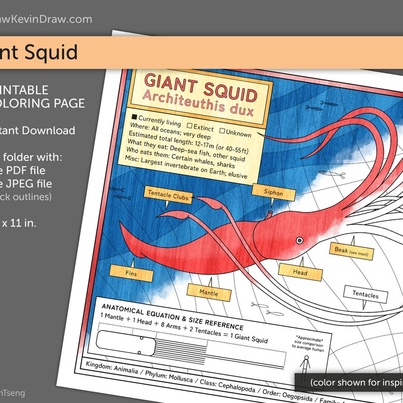 Deep Deep Sea Squid - Etsy