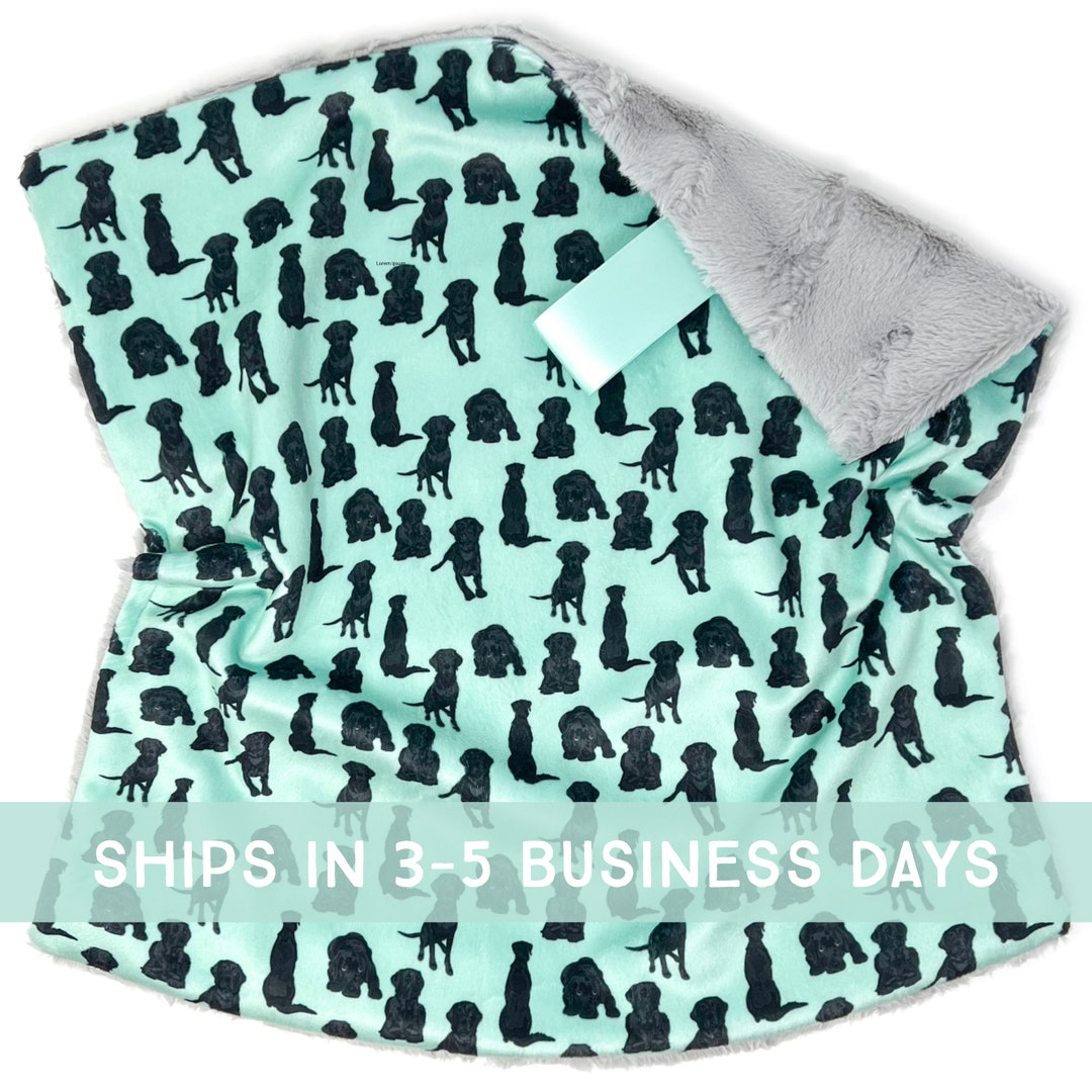 Lovey: Aqua Black Labs. Labrador Retrievers. Dogs. Puppies. Boy. Gender ...