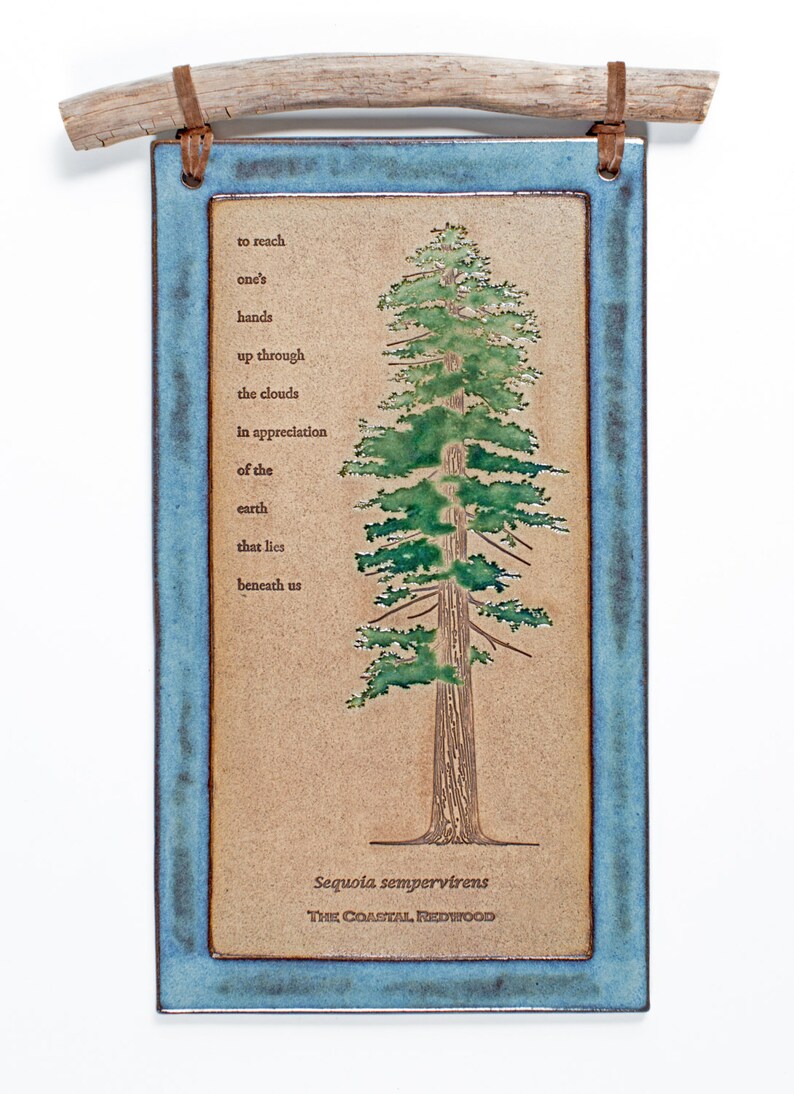 Ancient Redwood/sequoia/handmade/plaque/tree Clay Tile/wall Hanging ...