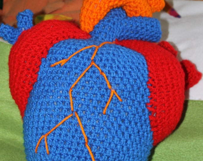Anatomically Correct Crochet Heart Accent Pillow - Etsy