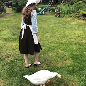 Adult Everyday Princess Cinderella Servant Costume, Made to Order ...