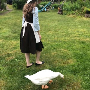 Everyday Princess Cinderella Servant Costume, Made to Order, Upcycled ...