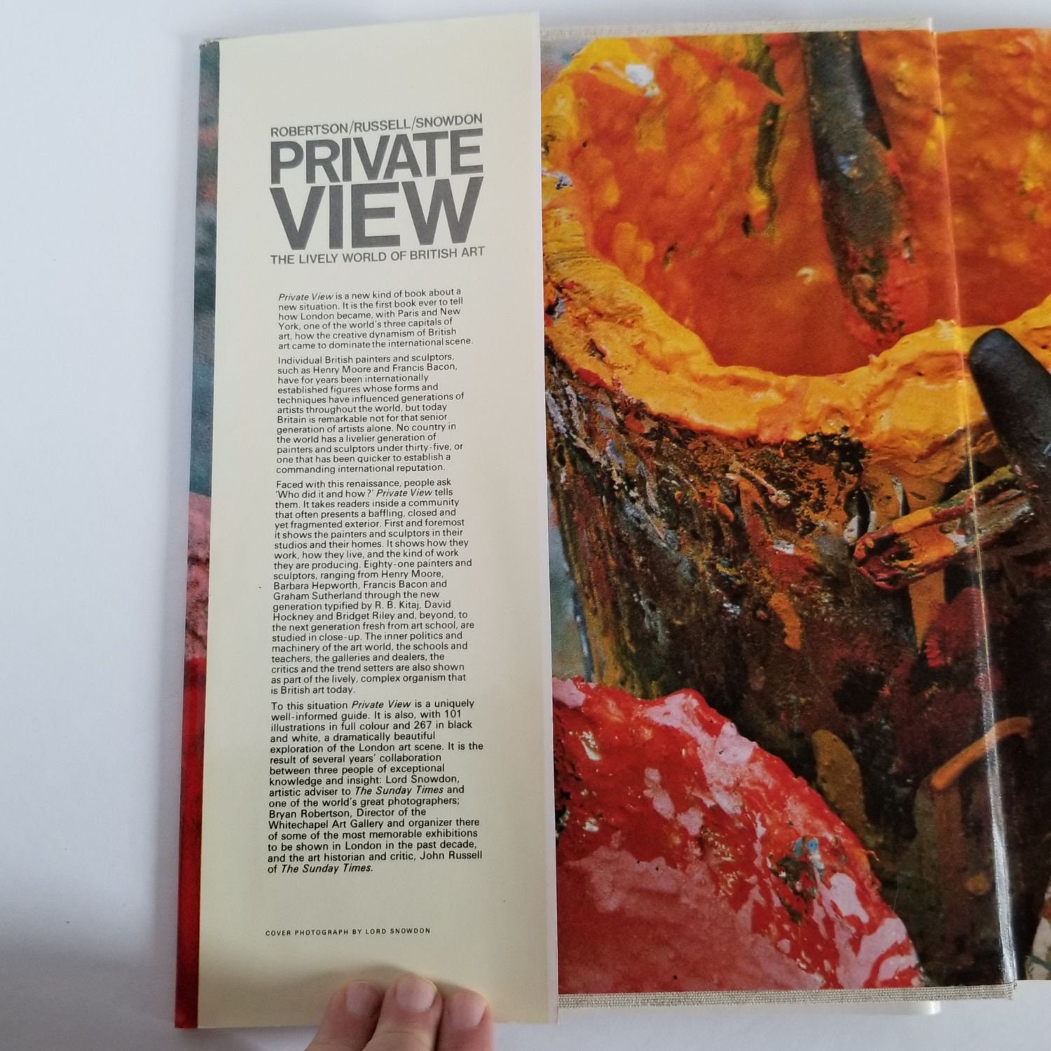 British Art History Book - Private View, the Lively World of British ...