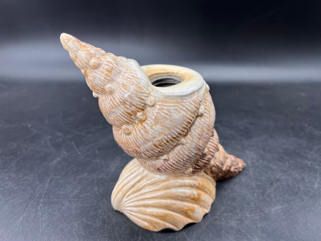 Italian Sea Shell Taper Candleholder Made in Italy Vintage FREE ...