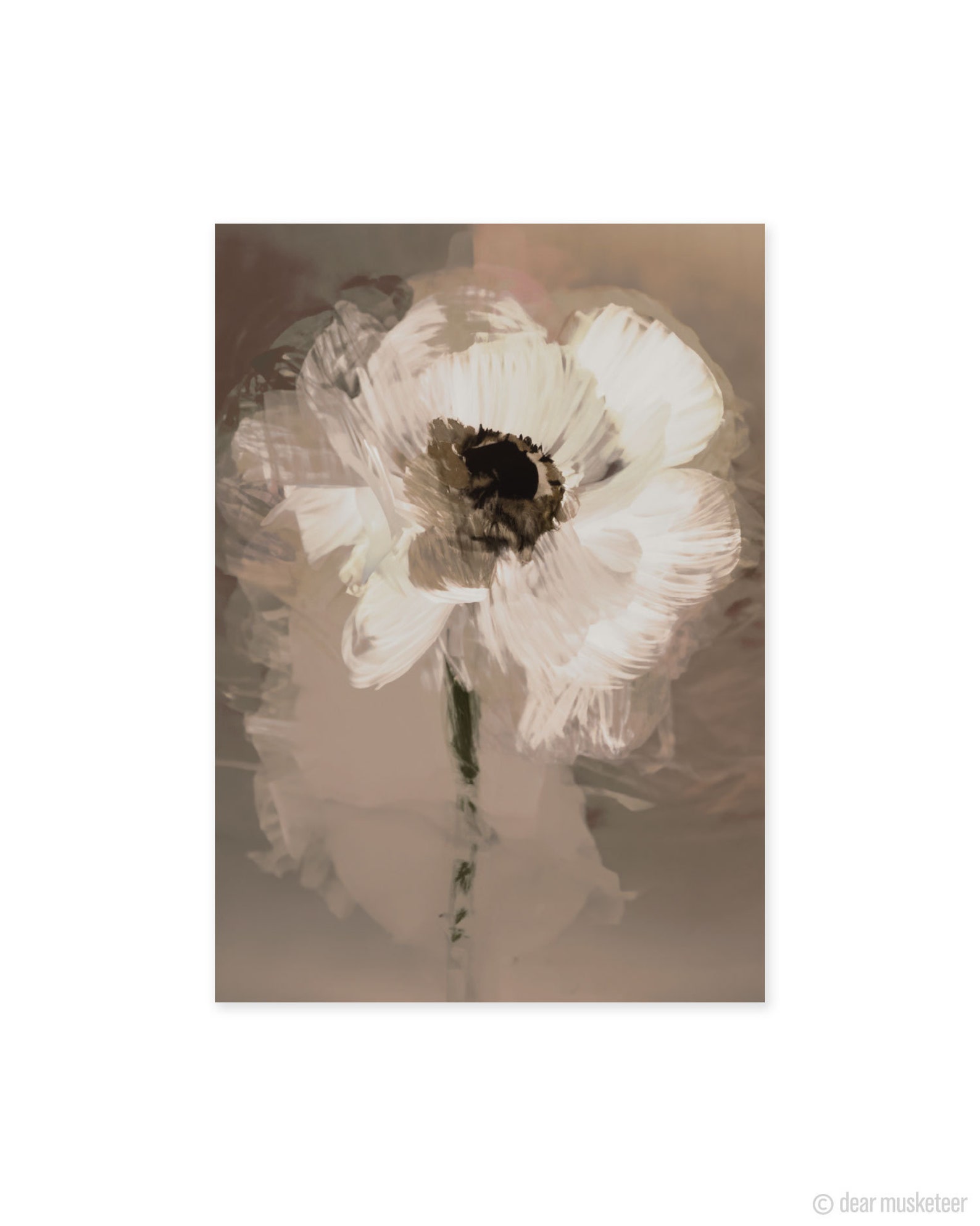 Muted Daisy Art Print, Beige Flower Art, Floral Print, Giclee - Etsy