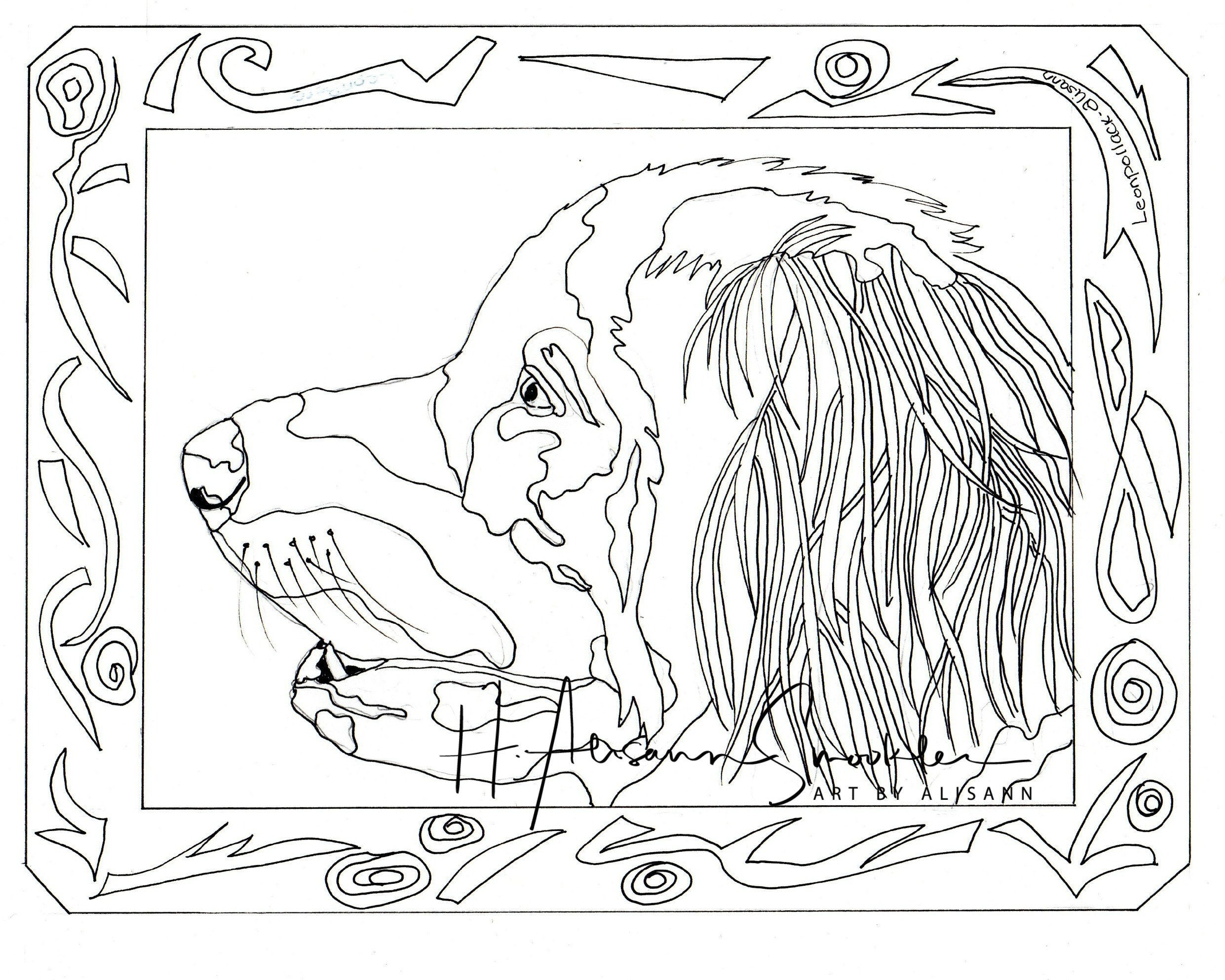 Leonberger Coloring Page Pages Sketch Coloring Page