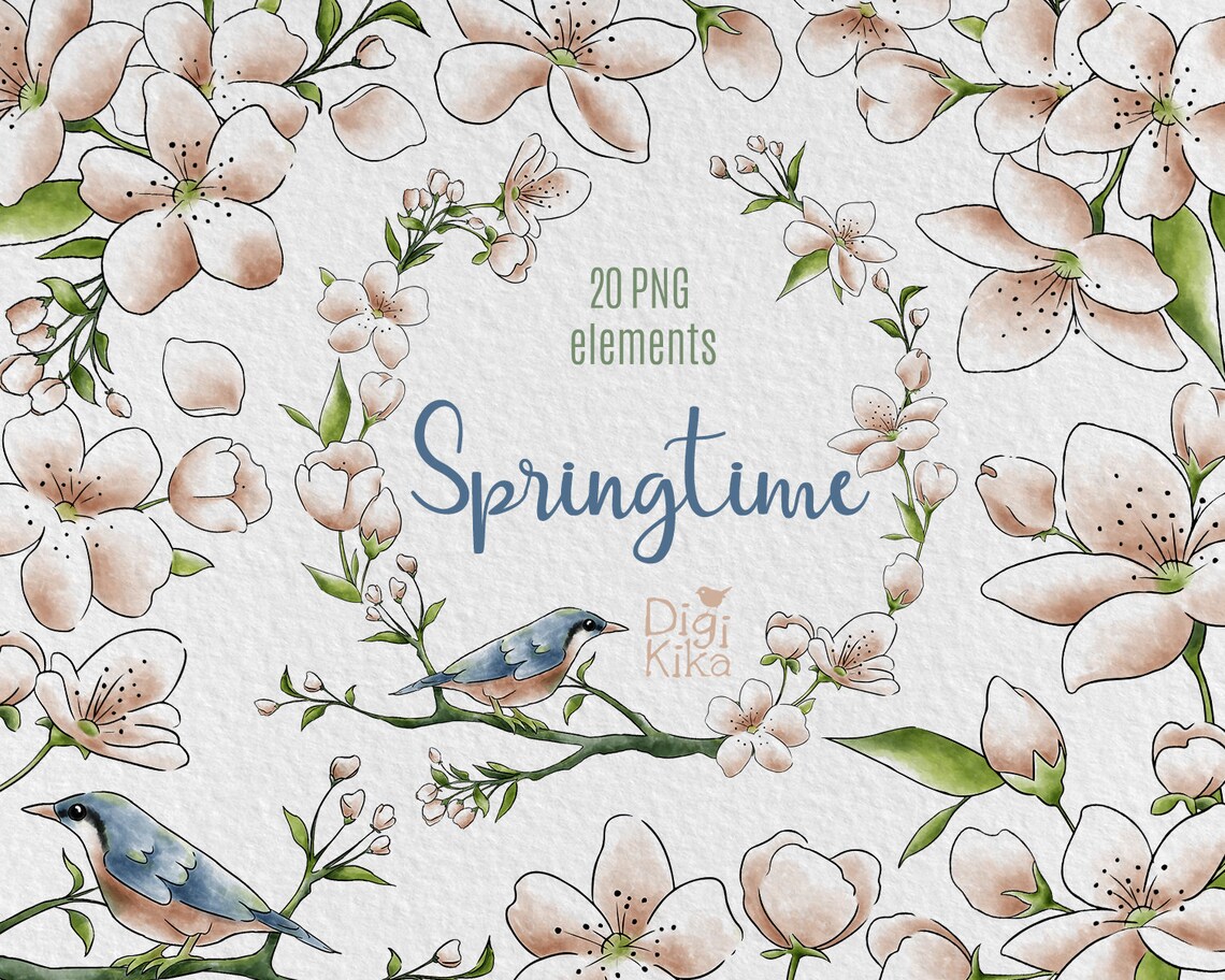 Springtime Clipart Spring Clipart PNG Birds Clip Art Floral - Etsy
