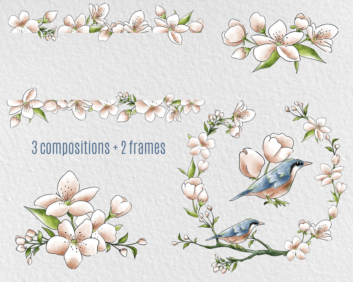 Springtime Clipart Spring Clipart PNG Birds Clip Art Floral - Etsy