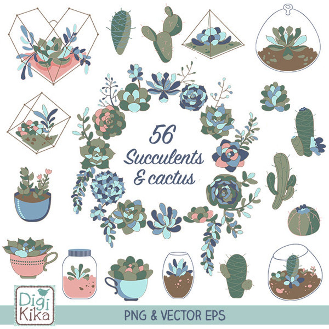 Succulents Clip Art Hand Drawn Succulents, Cactus and Terrarium Clipart ...