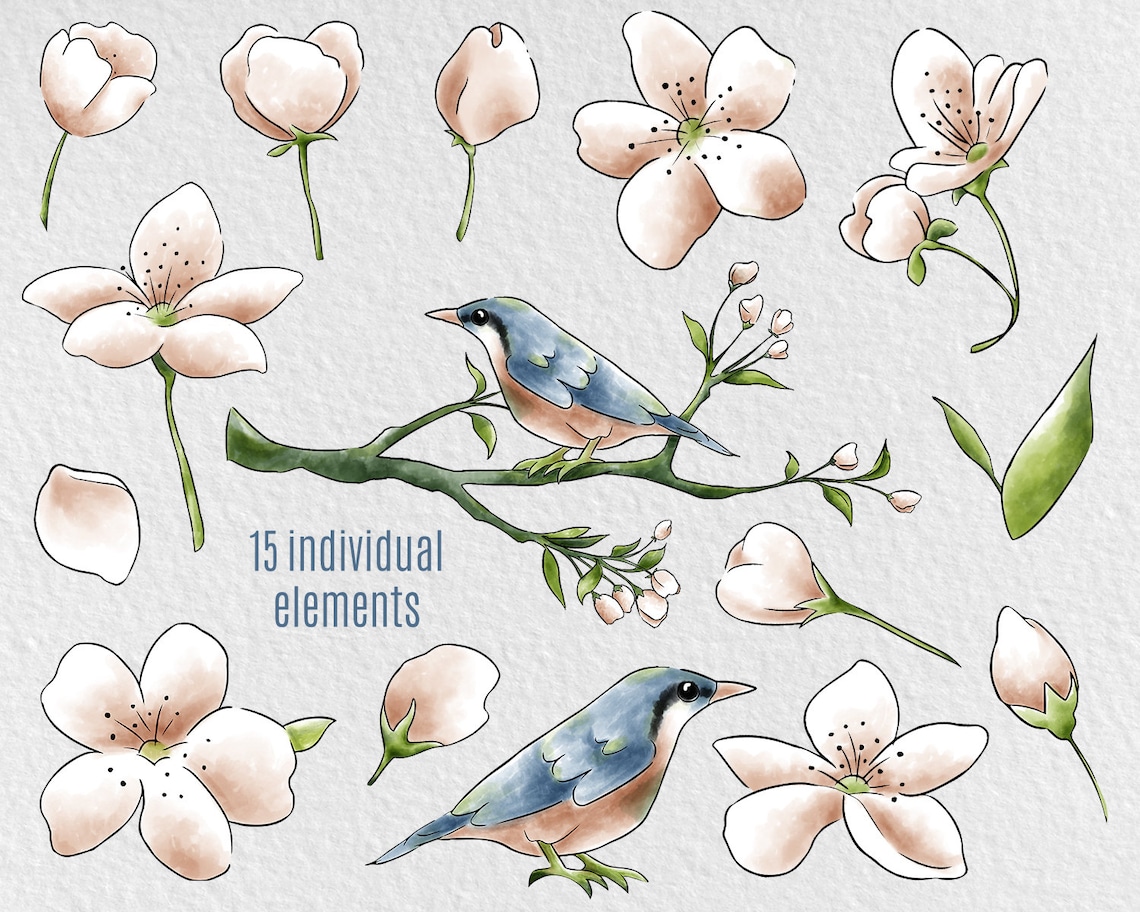 Springtime Clipart Spring Clipart PNG Birds Clip Art Floral - Etsy