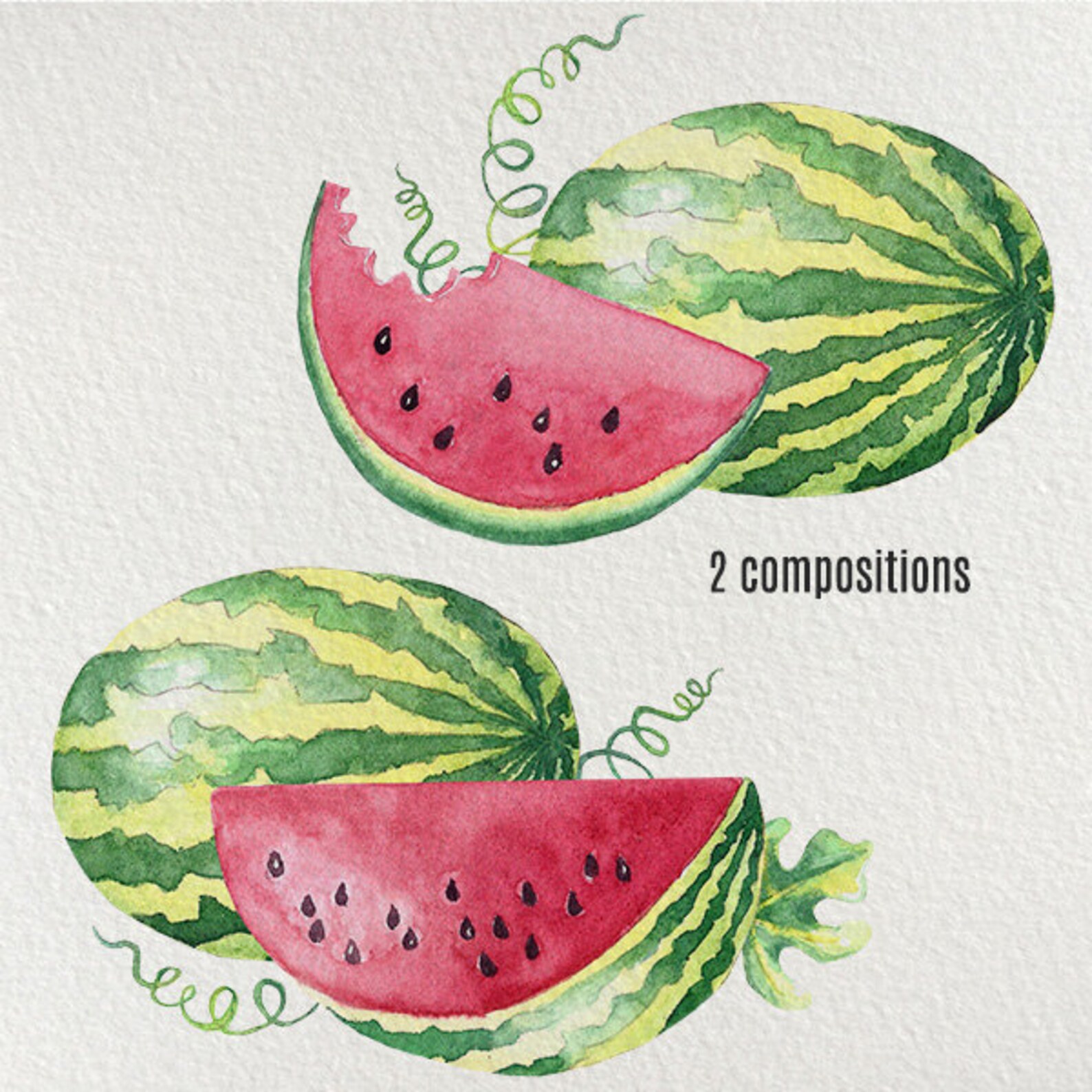 Watermelon Clipart Hand Painted Watercolor Fruit Clipart | Etsy