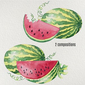 Watermelon Clipart Hand Painted Watercolor Fruit Clipart - Etsy