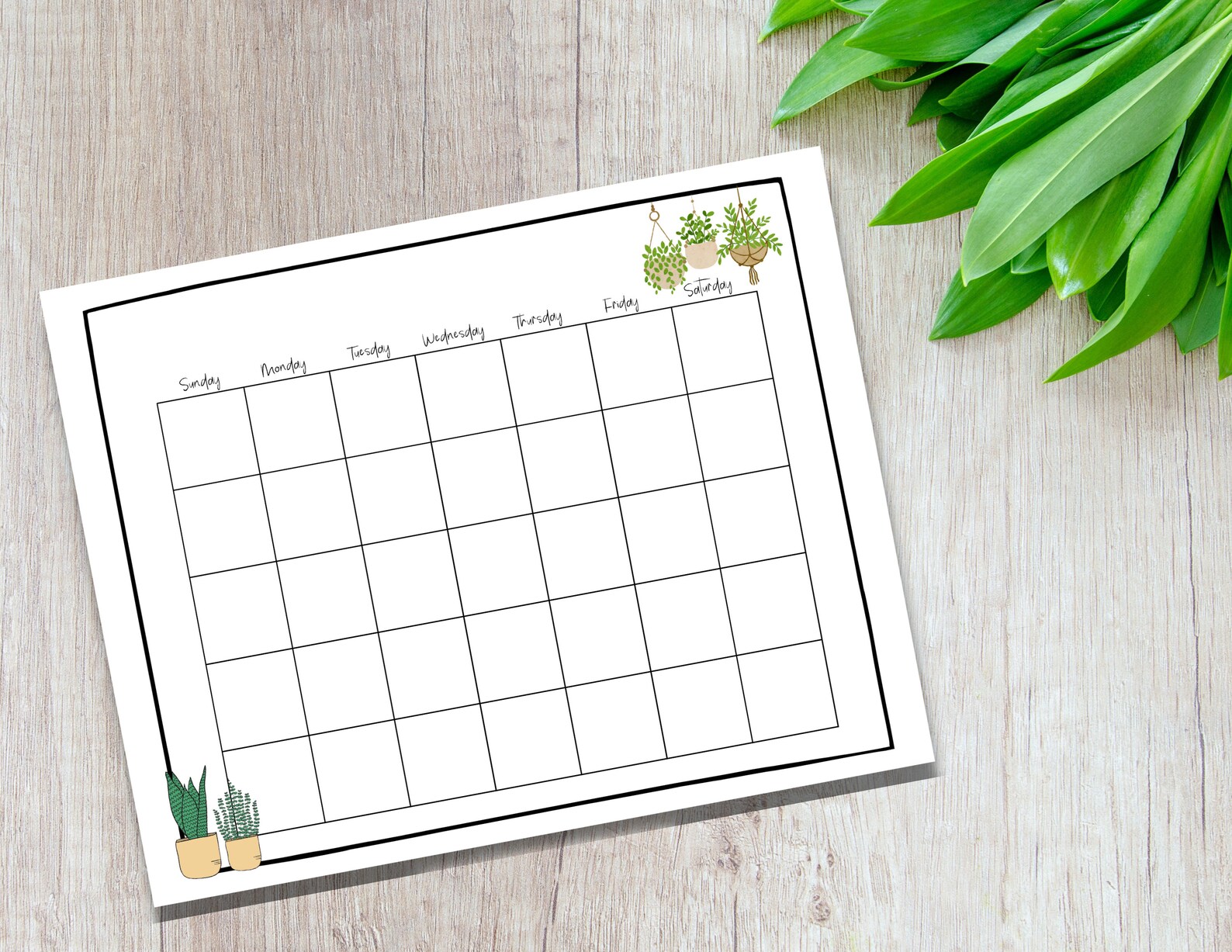 Digital Download Undated Monthly Calendar Printable PDF - Etsy
