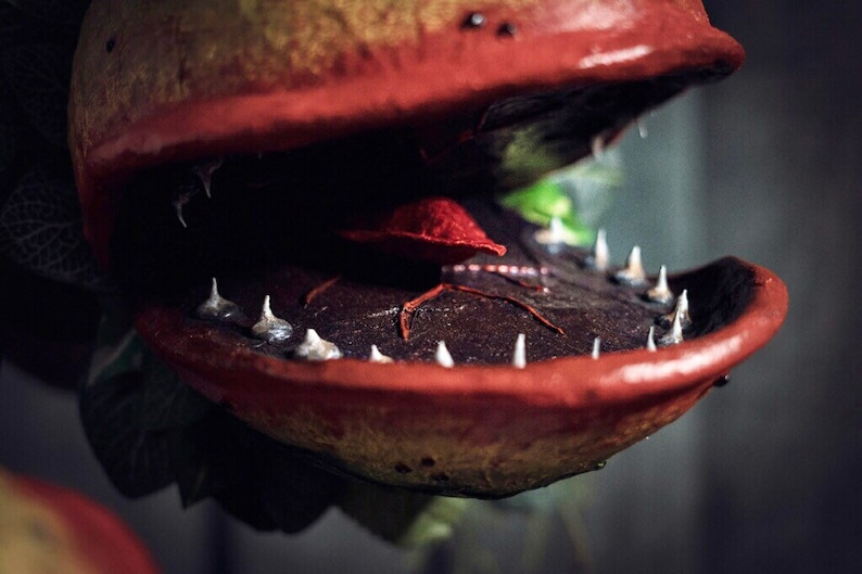 Little Shop of Horrors Audrey Two Hand Puppet Movie Edition - Etsy