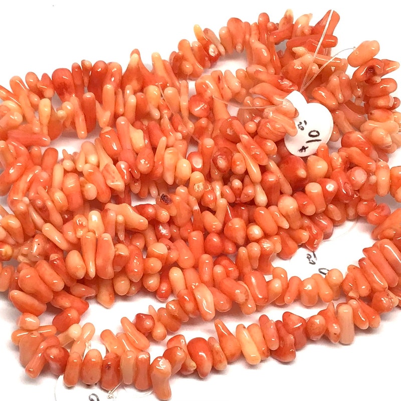 Coral Chips - Etsy