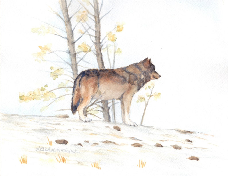 Assorted Wolf Note Cards 5 X 7 Set of Five Watercolor Painting ...