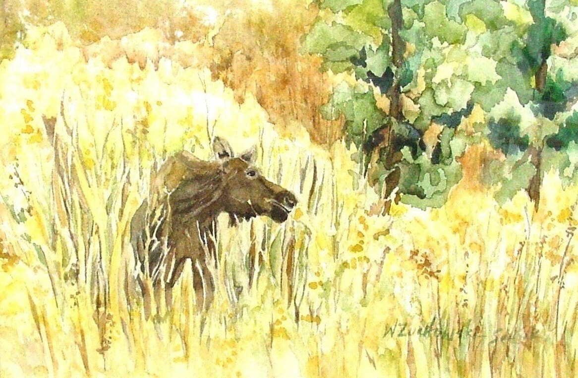 Set of Five 5 X 7 Yellowstone National Park Wildlife Watercolor ...