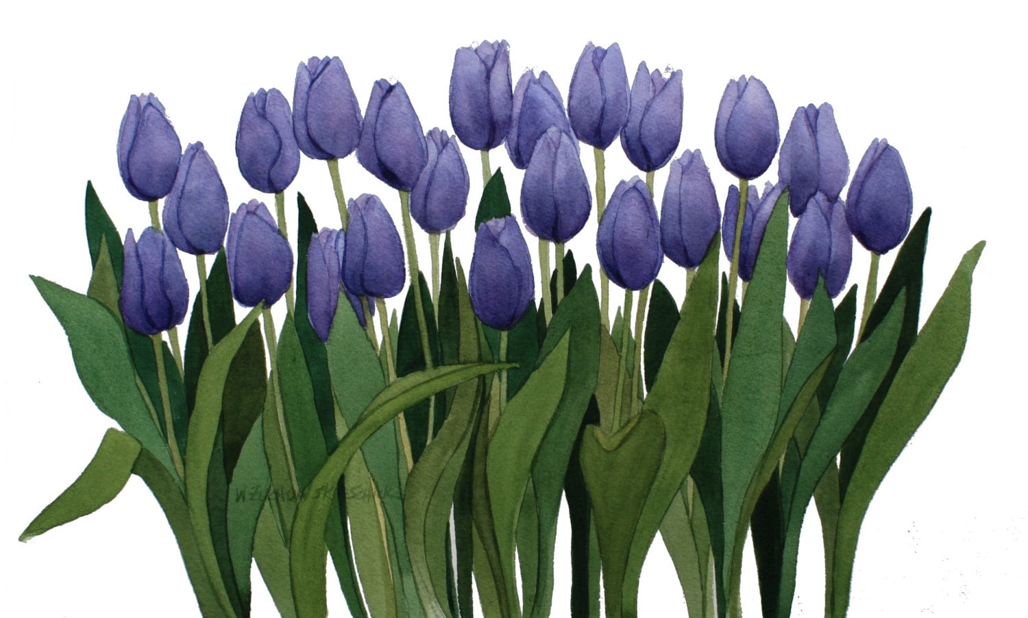 Painting Tulipes Reproduction Aquarelle Watercolor etna.com.pe