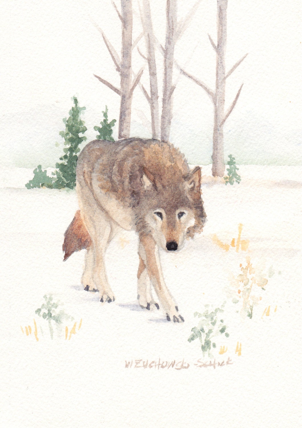 Assorted Wolf Note Cards 5 X 7 Set of Five Watercolor Painting ...