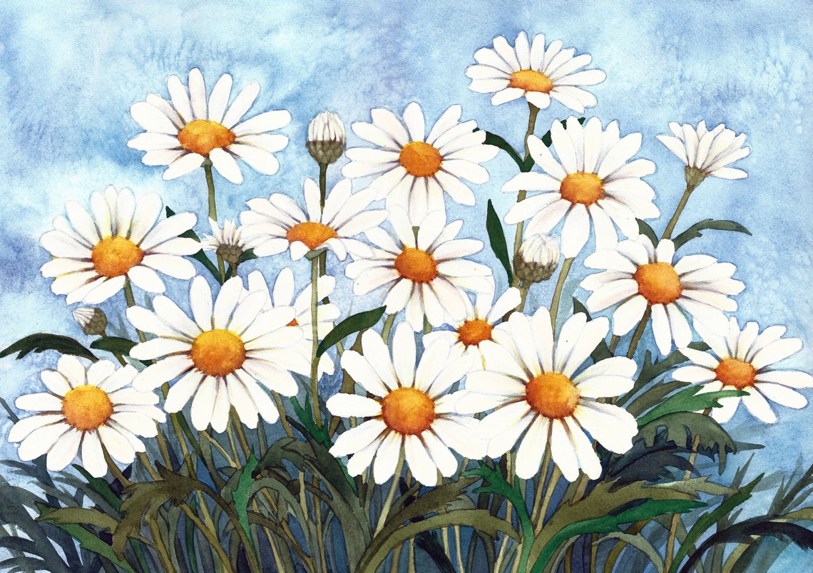 White Daisy Garden Watercolor Painting Reproduction by Wanda Zuchowski ...