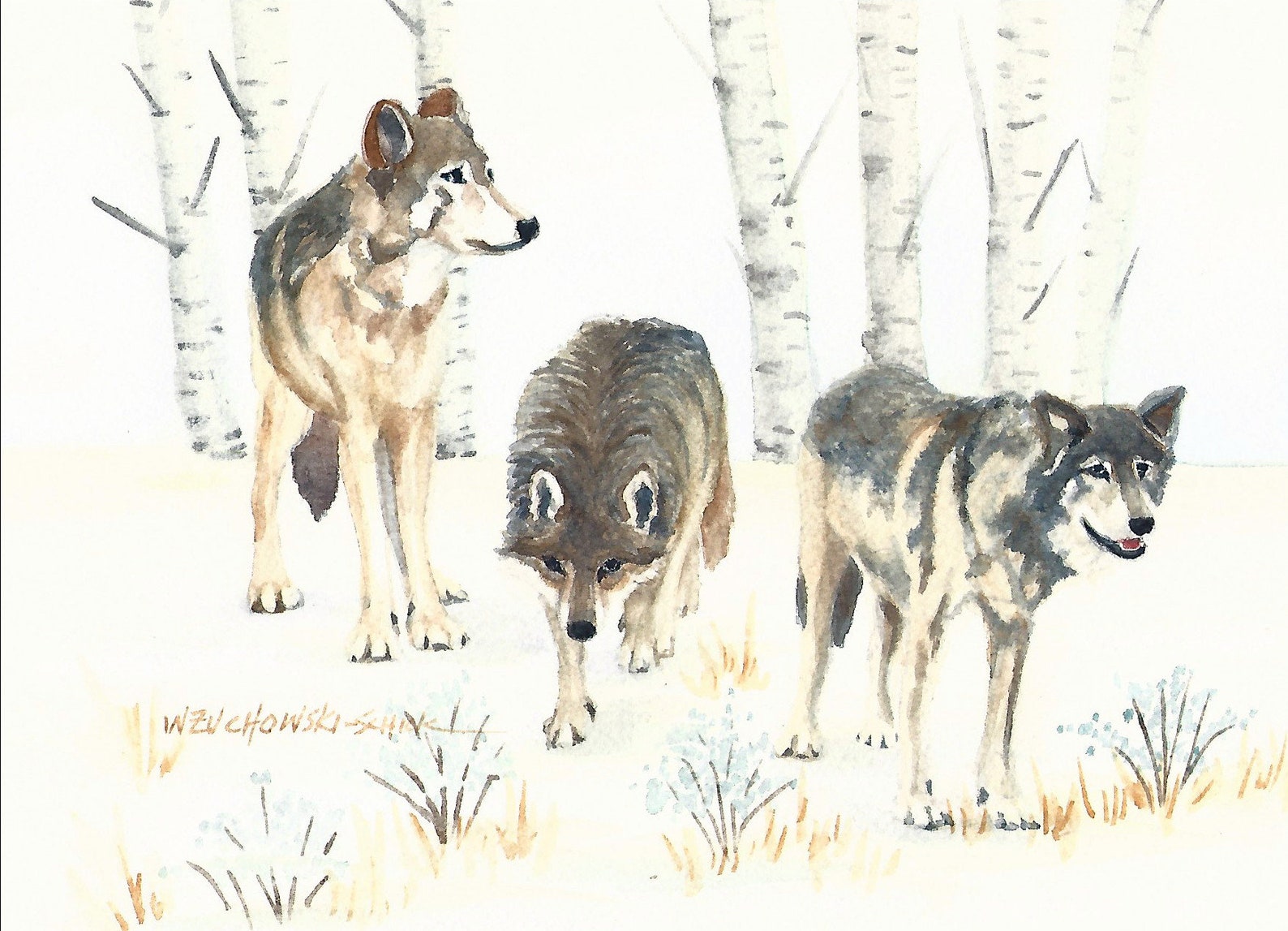 Lamar Valley Wolves Yellowstone National Park Original - Etsy