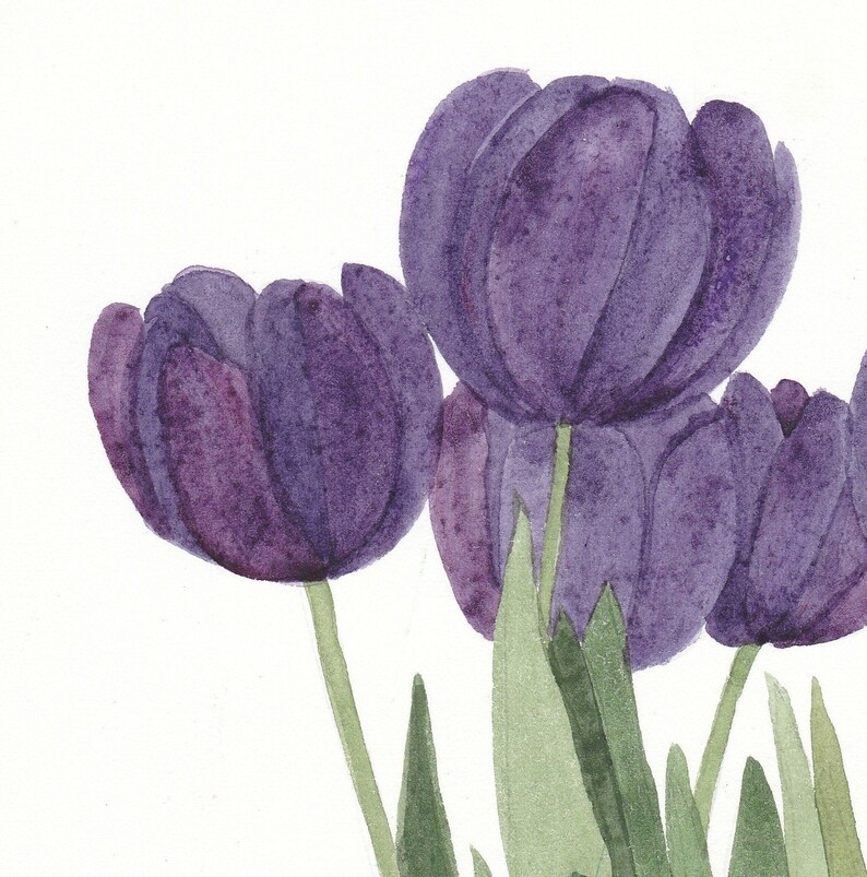 Purple Tulip Bunch Realistic Original Watercolor Painting - Etsy