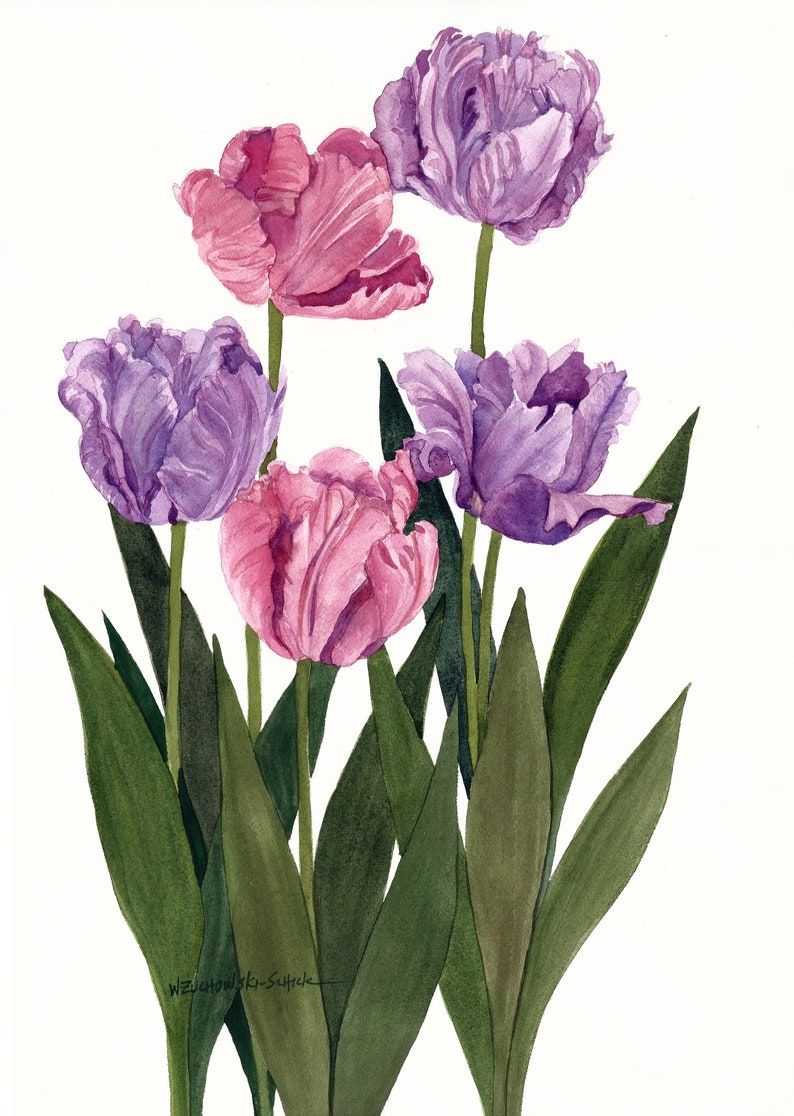 Pink and Purple Parrot Tulips Watercolor Painting Reproduction - Etsy