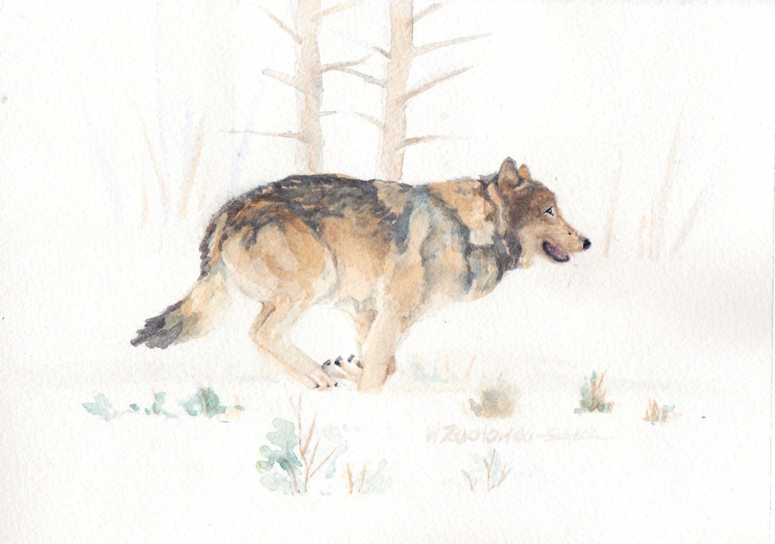 Assorted Wolf Note Cards Set of Four Watercolor Painting Reproductions ...