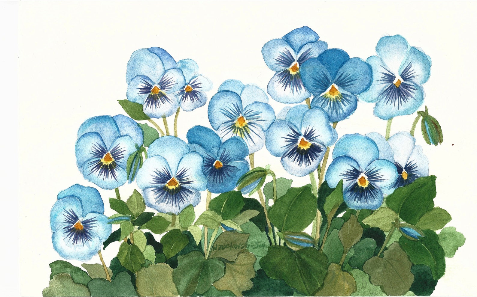 Blue Pansies Reproduction of an Original Watercolor Painting by Wanda ...