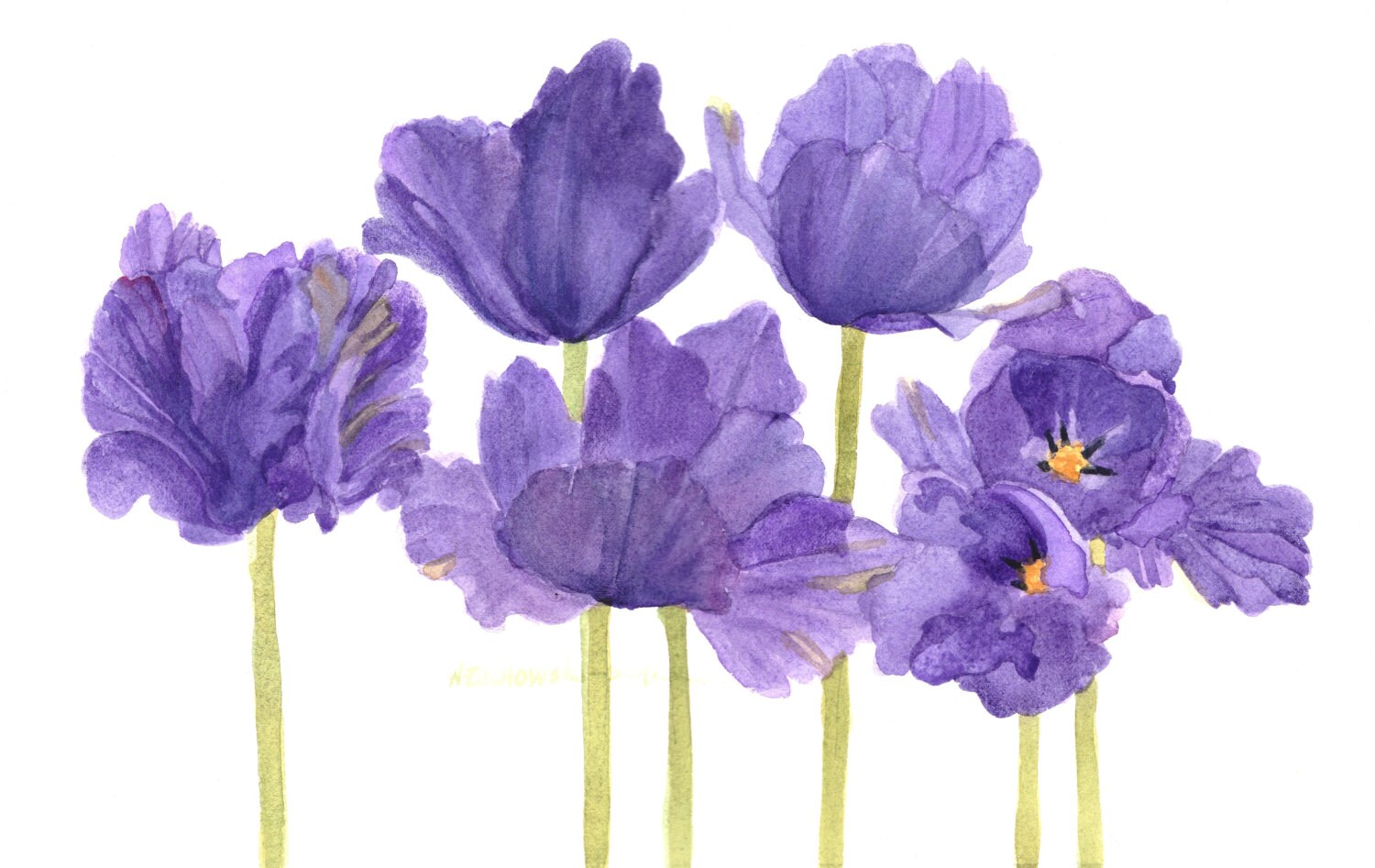 Purple Parrot Tulip Watercolor Painting Reproduction by Wanda's ...