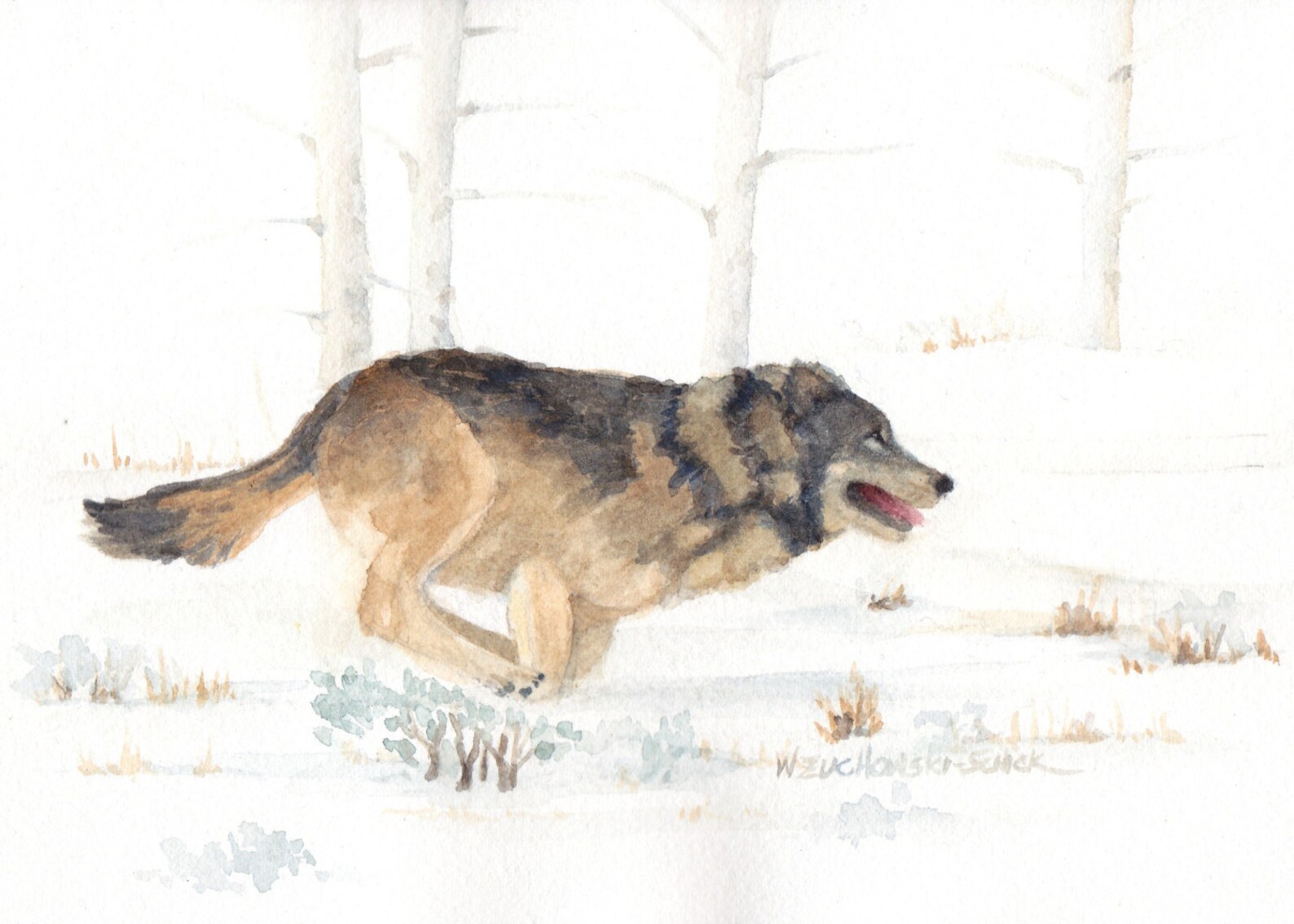 Assorted Wolf Note Cards Set of Four Watercolor Painting Reproductions ...