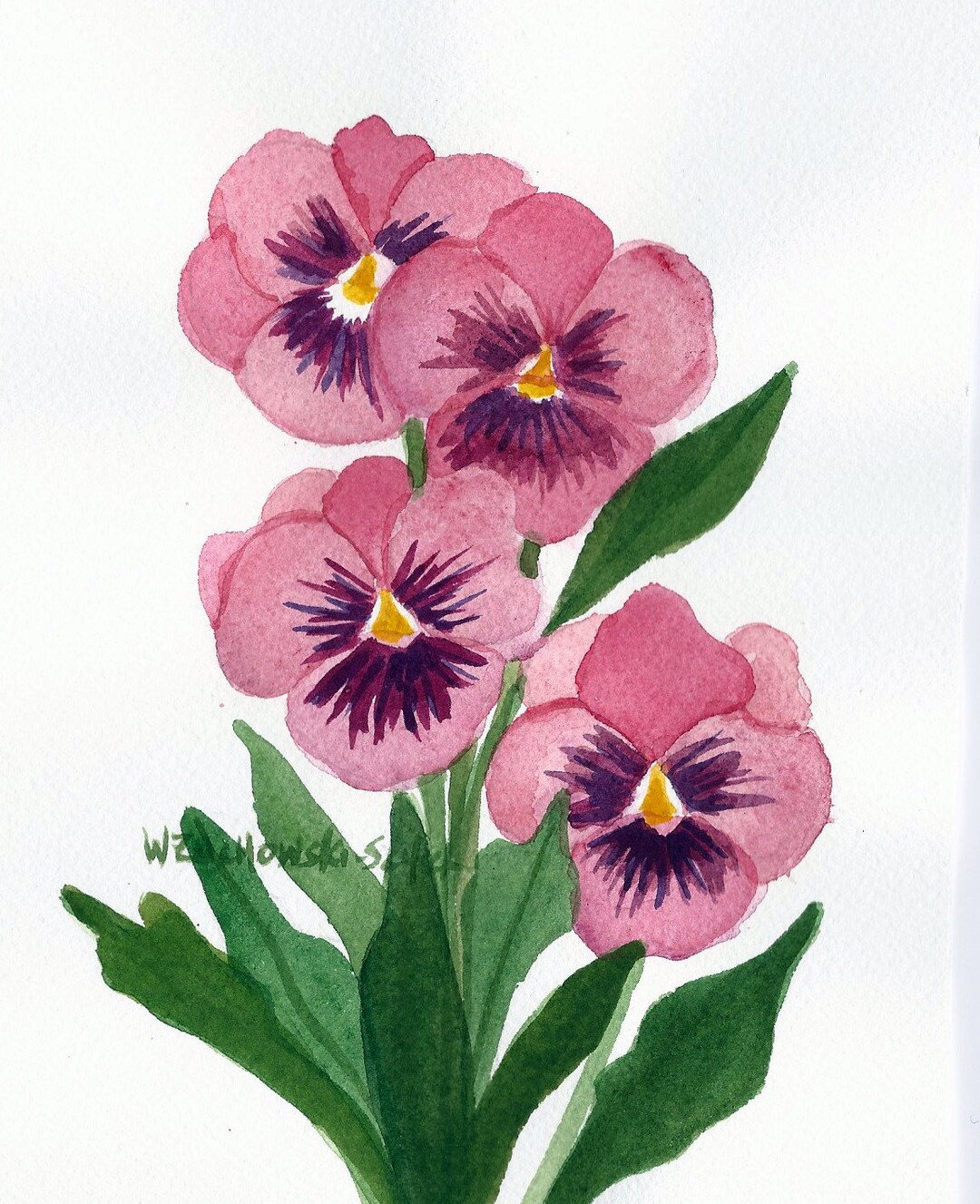 Pink Pansies Original Watercolor 3 by Wanda Zuchowski-schick - Etsy