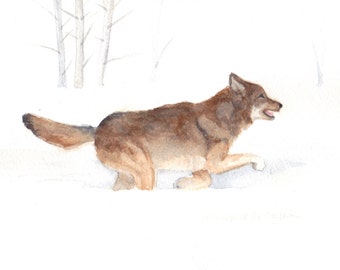 Assorted Wolf Note Cards 5 X 7 Set of Five Watercolor Painting | Etsy