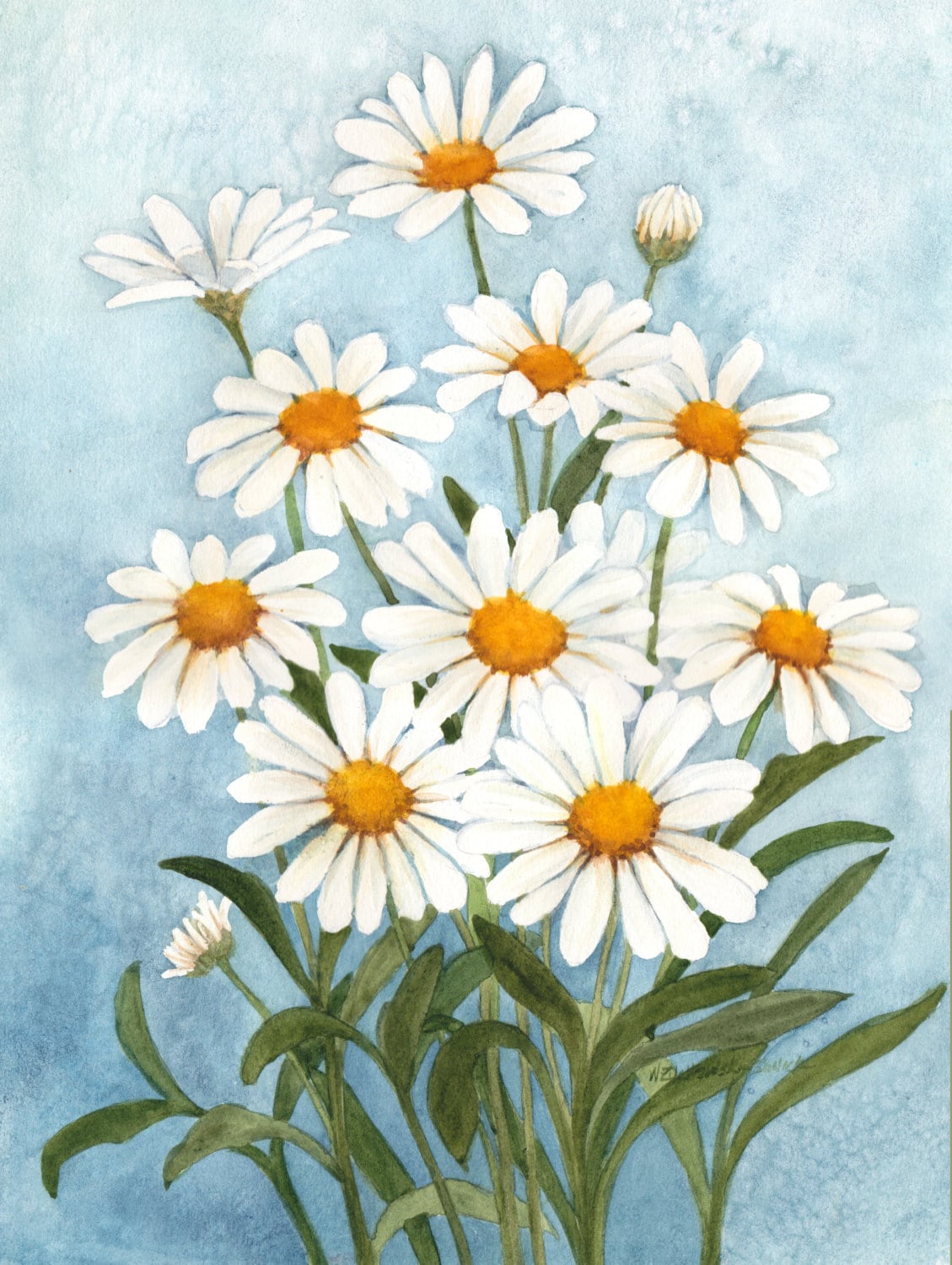 White Daisy Paintings