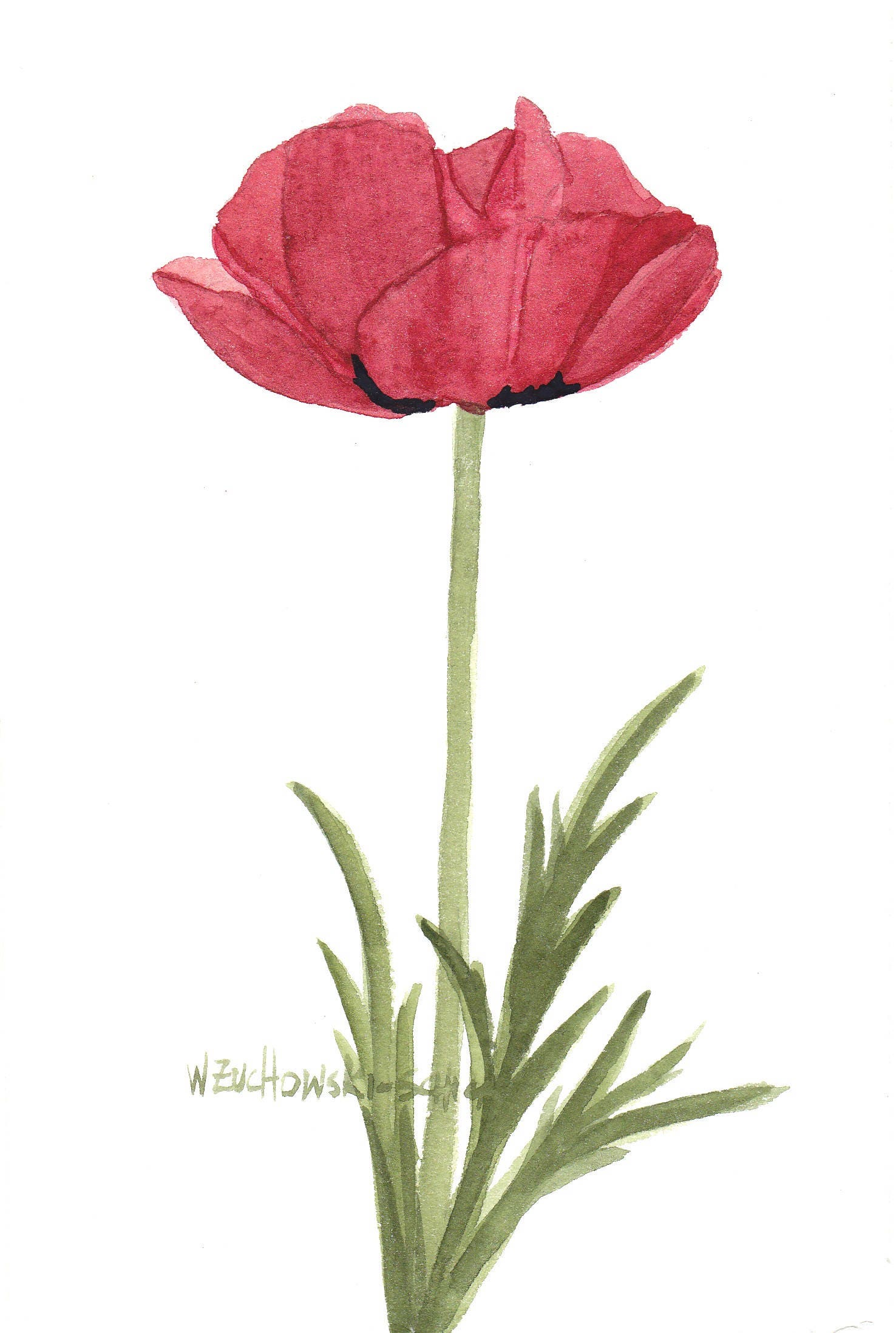 Three Red Poppy Original Watercolors - Etsy