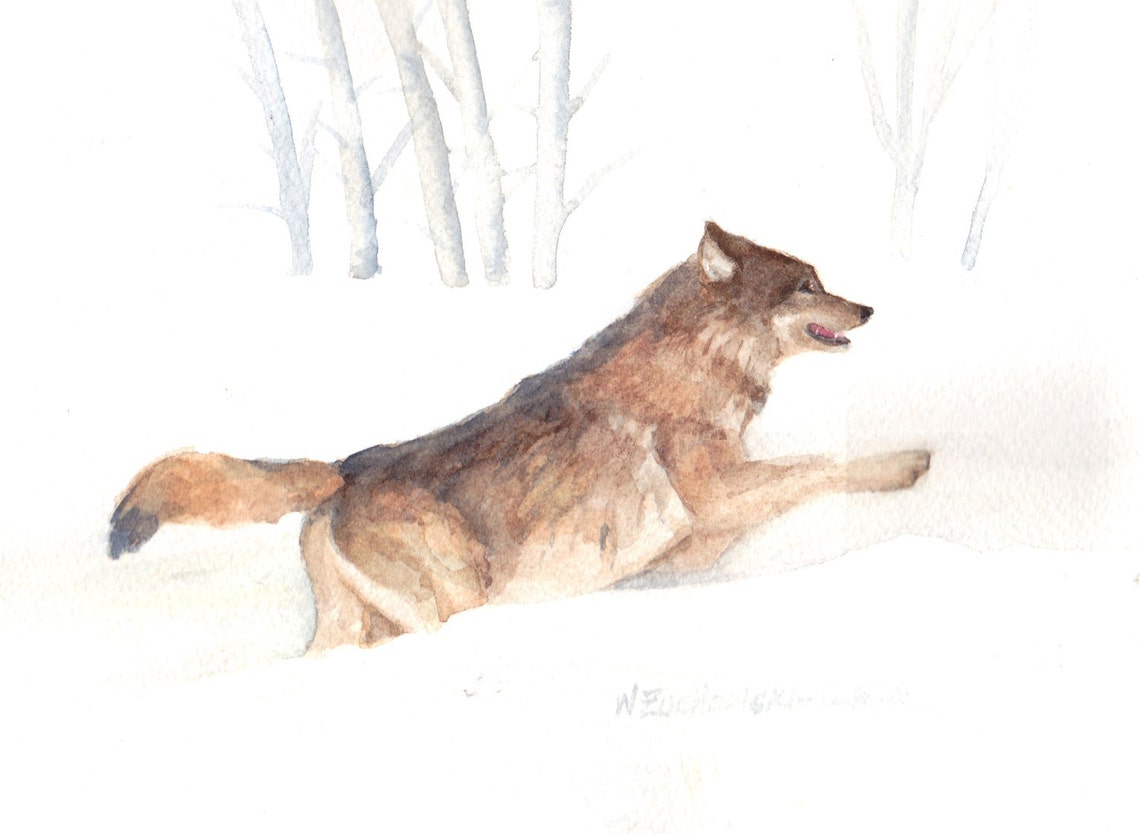 Assorted Wolf Note Cards Set of Four Watercolor Painting Reproductions ...