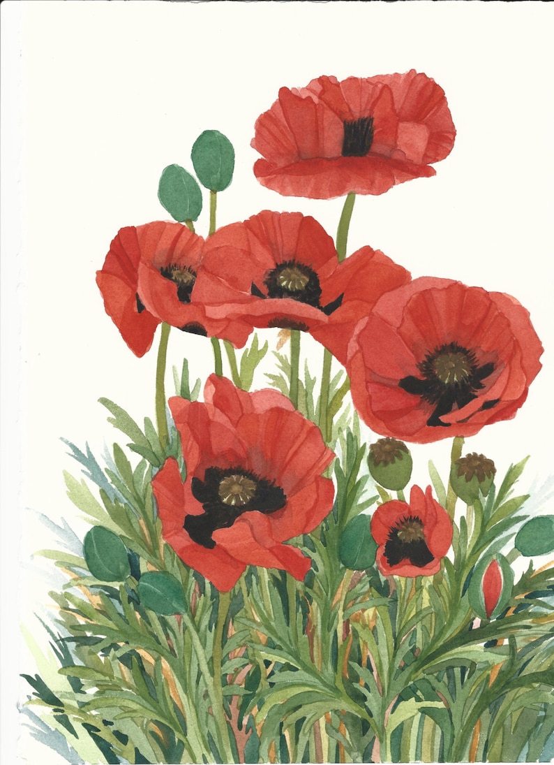 Peinture aquarelle originale de champ de coquelicots rouges par Wanda ...