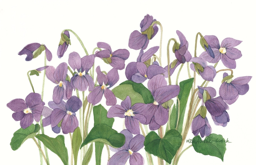 Violet Blank Note Cards 5 X 7 Pack of Five Watercolor Reproductions ...