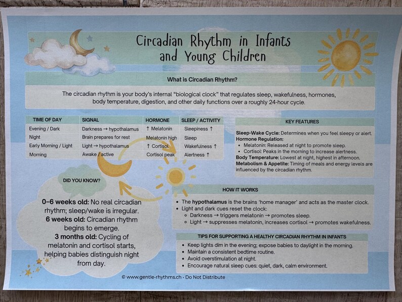Circadian Rhythm in Infants and Children - Etsy UK