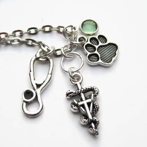 Vet Tech Necklace, VT Staff of Aesculapius, Veterinary Technician ...