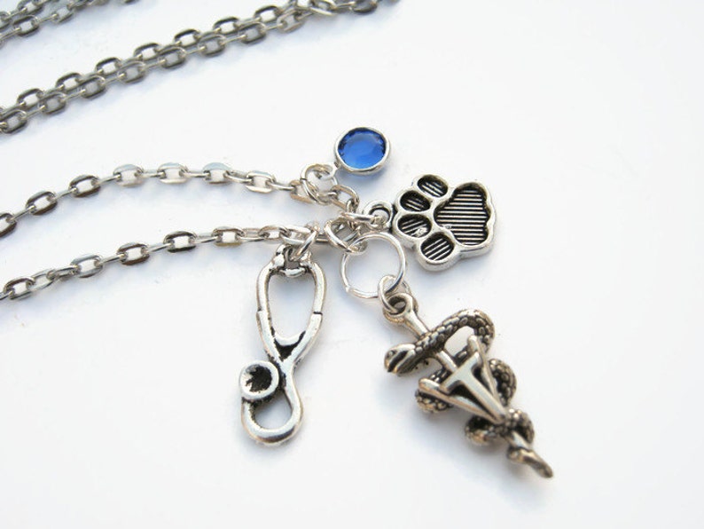 Vet Tech Necklace, .925 Sterling Silver Veterinary Technician Caduceus ...
